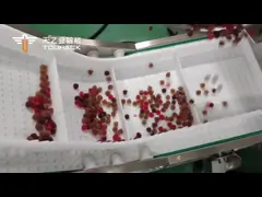 China Gummy Candy Bottle Filling Machine Popcorn Counting Filling Packing Jar Packing Machine for sale