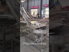 Convogliere a vite in polvere in acciaio inossidabile