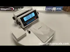China Weighing Instrument For Platform Bench Weighing Scales for sale