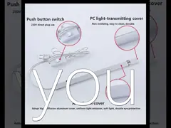 White Warm Led Strip Lights 2835 Single Color DC220V For Your Requirements