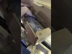 China D0169510 OPC Drum for Ricoh Pro C720 C720S C900 C900S C901 C901S - Japanese Quality Organic Photo-conductor for sale