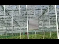 Agricultural Glass Greenhouse