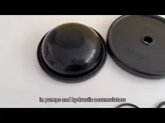 China 0904.009 model NBR Buna Rubber membrane Diaphragm Pump for sale