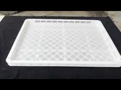 600x800 mm Plastic Drying Tray