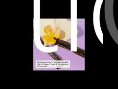 China Natural Shea Better Body Lotion Vanilla Cashmere 24 Hour Moisture Skin Care For Man And Woman for sale