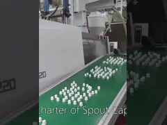 China Plastic Liquid Spout Pouch Cap Drinking Stand-Up Pouch Portable Bag Caps For Party for sale