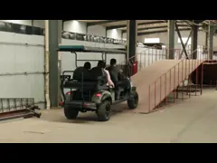 Sun Canopy Roof Electric Golf Cart With Leather Fabric Seats 8 - 9 Hours Charging Time