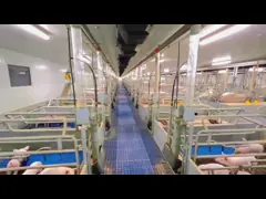 China 3 Phase Single Phase Ventilation Exhaust Fan 380V 1 Year Warranty for sale