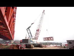 Crawler cranes: a powerful assistant in construction sites