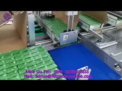 China Hot Glue  Bottle Case Packer Machine automatic continuous feeding for sale