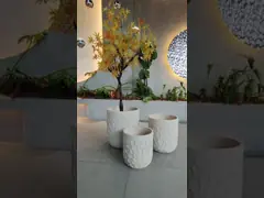 Modern Fiber Cement Pot Frost Resistant And Character Design For Plants