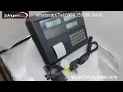 China Computing Price Yaohua A23P LCD Indicator For Digital Electronic Terminal Bench Platform Weighing Scale for sale