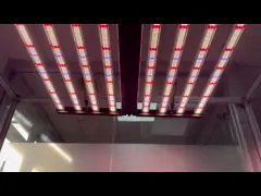 China 128000LM 800W 8 Bar Led Grow Light Led Strip Grow Lights For Plants for sale