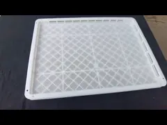PP Plastic Stackable Drying Food Tray