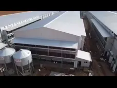 China Chickens Prefabricated Portal Frame Steel Structure Poultry Shed Chicken Farm Building for sale