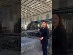 China PVC Coated 3*1*1M 8*10cm Hexagonal Mesh Hole Hot Galvanized Gabion Cage Factory Price for sale