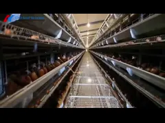 China Custom H Type Broiler Rearing Cage , Full Automatic Broiler Cage System for sale