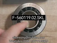 China F-560119 F-560119.02.SKL Honda RAV4 differential bearings automatic differential bearing thrust angular contact ball bearing 31.1*64.3*23.5mm for sale