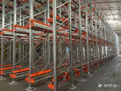 High Density Warehouse Automated Storage And Retrieval System ASRS