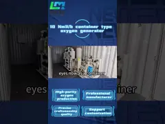 China Remote Control ISO CE Container Type PSA Oxygen Plant 93% - 99.5% High Purity Oxygen Generator for sale