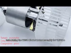 China ACTROS MP2 White Mercedes Ac Blower Motor 2002 OEM 0028308408 0130063602 8EW351024481 for sale