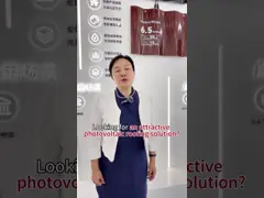 Flexible PV Panels