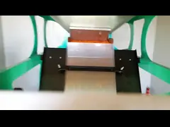 sea buckthorn color sorter