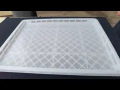 PP PE Freezing Drying Food Tray