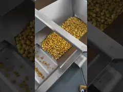 China High Speed Bag Packaging Automatic Granule And Food Packaging Machine for sale