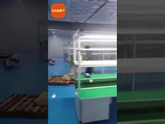China High-Speed Belt Assembly Line For E-commerce Fulfillment Centers for sale