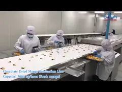 China High Effective Small Scale Mango Processing Plant  High Extracting Rate for sale