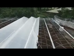 China Top Multi Span Greenhouse 10 Meter Length With Insect Net Window for sale