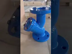 Cast Iron/Ductile Iron Y Strainer Valve 150LB For Water