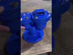 Flanged Double Orifice Air Valve Versatile For Water / Steam / Oil / Gas Applications