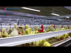 China Industrial Chicken Egg Washing Machine Automatic Chicken Egg Processing Line for sale