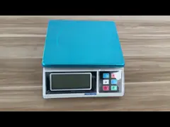 Digital Weighing Scale
