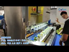 China Industrial Mango Peeler Fully Automatic Apple Potato Carrot Peeler for sale