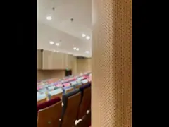 Auditorium Timber Veneer Micro Perforated Panel Absorber Acoustic Wall Panel