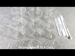 China 16 oz PLA Cups for Cold Beverages for Office & Hotel Use for Coffee Beer Pong Juice for sale