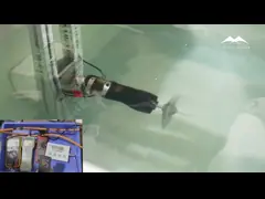 8318 Μηχανοκίνητος κινητήρα συνεχούς ρεύματος χωρίς βούρτσα με προσαρμοσμένο άξονα για εργαλεία βιομηχανικής ισχύος