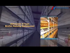 China Chicken Poultry Cage H Type Layer Chicken Cage Automatic Feeding System for sale