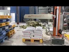 Mechanical Arm Robotic Palletiser 180 Rotation Robotic Case Palletizer