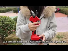 China Electric High Branch Pruning Set Lithium Battery Cordless Handheld Telescopic Pole Tree Branch Pruning Shear Pruner for sale