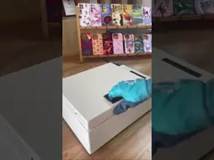 DIY Airprods IPhone