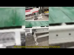 China Inclined Bucket Elevator Conveyor Stainless Steel Bucket Conveyor System for sale
