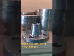 Stainless Steel Flange