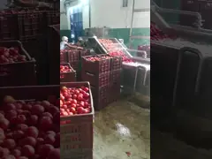 China Tomato Sauce And Paste Making Production Line Brix Of Finished Products Capacity Customized for sale