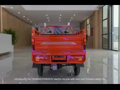 Electric Tricycle with Rear Seat Foldable Safety Rail