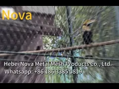 Cina Corda Mesh Netting 7x7 di acciaio inossidabile dello zoo 2mm dell'uccello in vendita