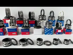 China BERGMAN Replaces John Crane 2100-S 12mm-100mm G60 G4 G6 G9 G13 G16 BS Bo BP Pump Mechanical Seal for sale